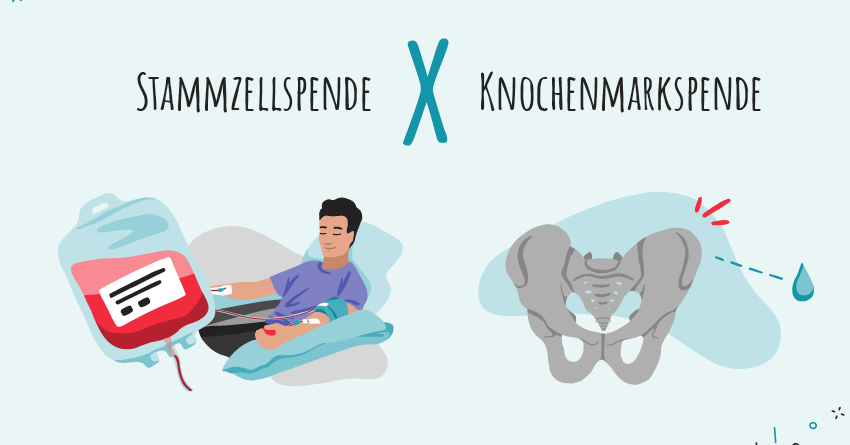 Was unterscheidet Stammzell- und Knochenmarkspende? - VKS Deutschland